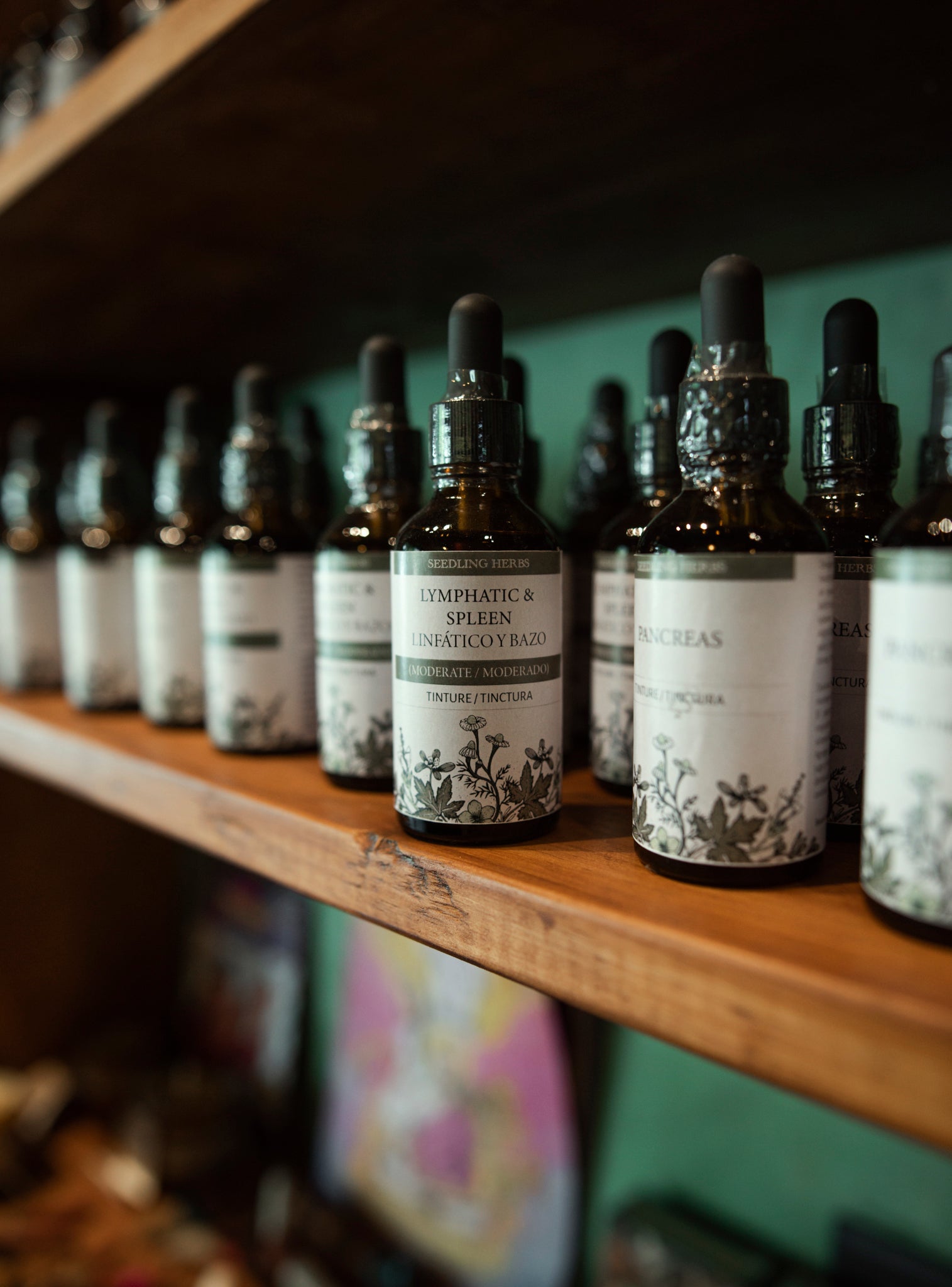 New Arrivals – Seedling Herbals Tulum