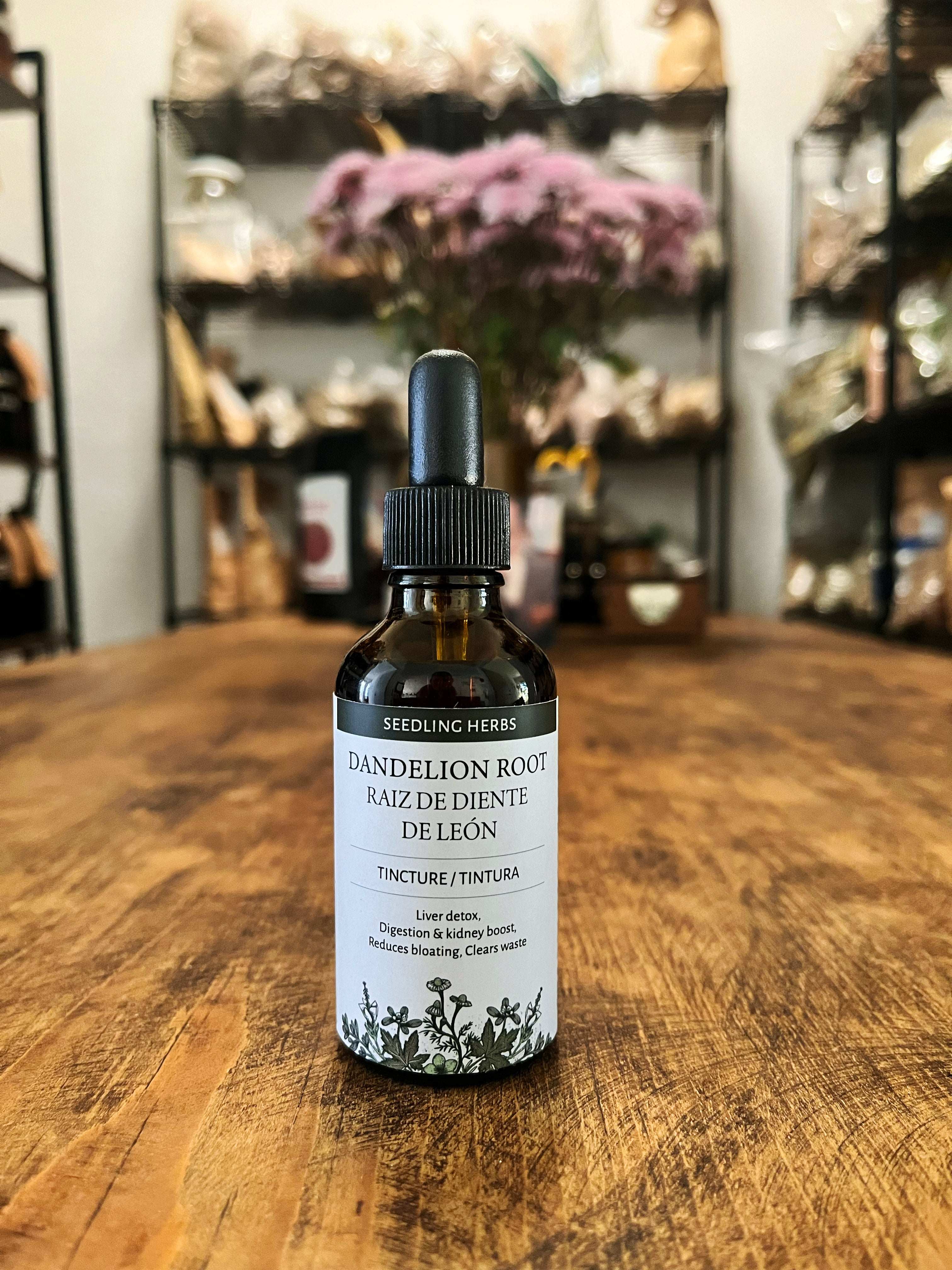 Dandelion Root Tincture – Seedling Herbals Tulum